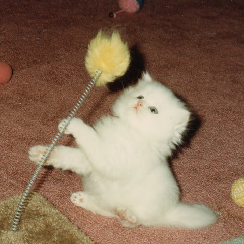 Catnip Magazine: Vol 2 | Broccoli