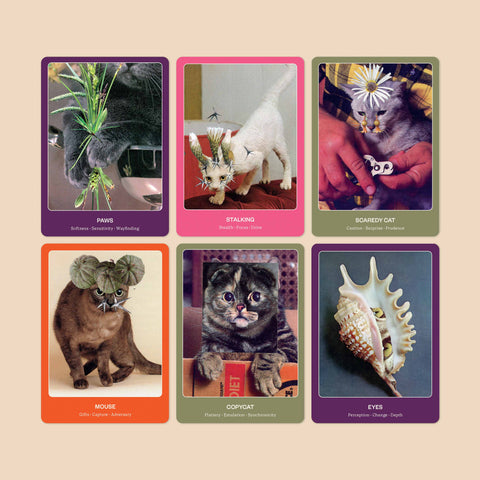 The Cat Oracle: 33 Card Deck & Guidebook | Broccoli