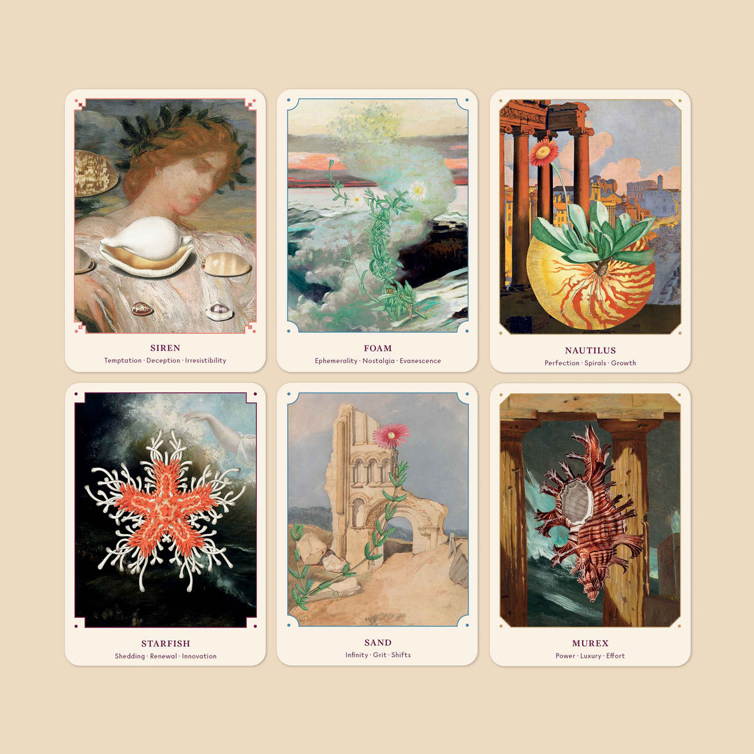 The Seashell Oracle: 44 Card Deck & Guidebook | Broccoli