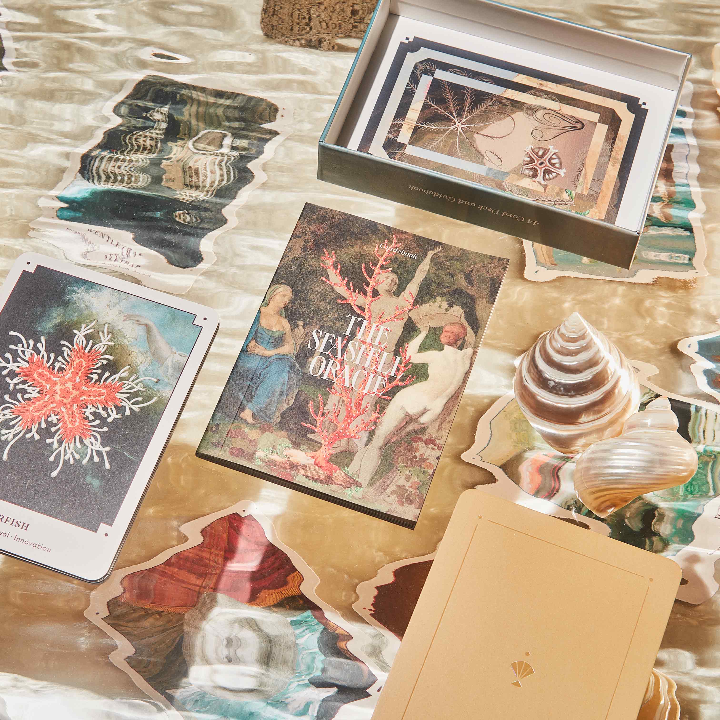 The Seashell Oracle: 44 Card Deck & Guidebook | Broccoli