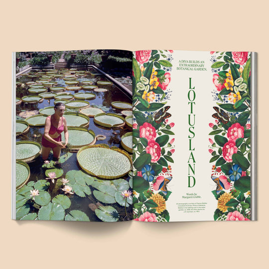 Magazines | Broccoli